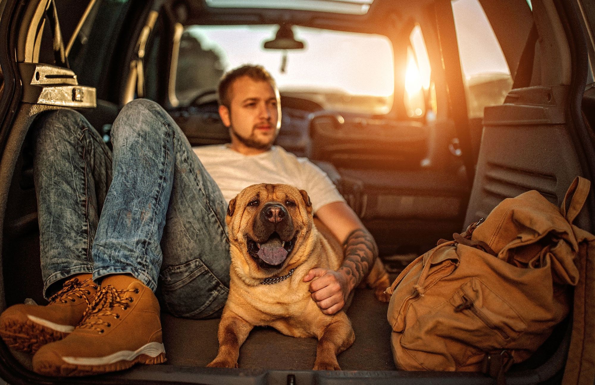 Pets Make Us Happier – Quincy Area Family Magazine
